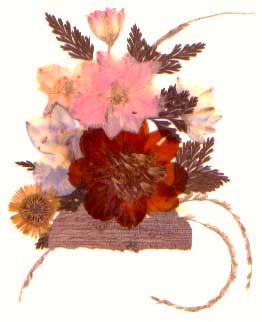 How to Press Flowers Creatively - Flower Pressing Secrets How to press ...